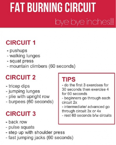 Fat Burning Circuit Workout - InspireMyWorkout.com - A collection of ...